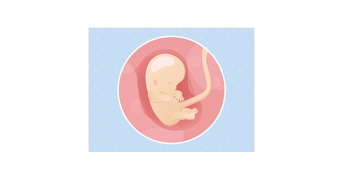 10e semaine de grossesse (12 SA) | Nestlé Baby