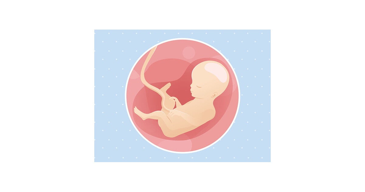 27e semaine de grossesse (29 SA) | Nestlé Baby