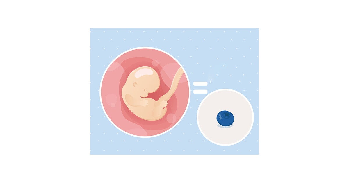 7e semaine de grossesse (9 SA) | Nestlé Baby